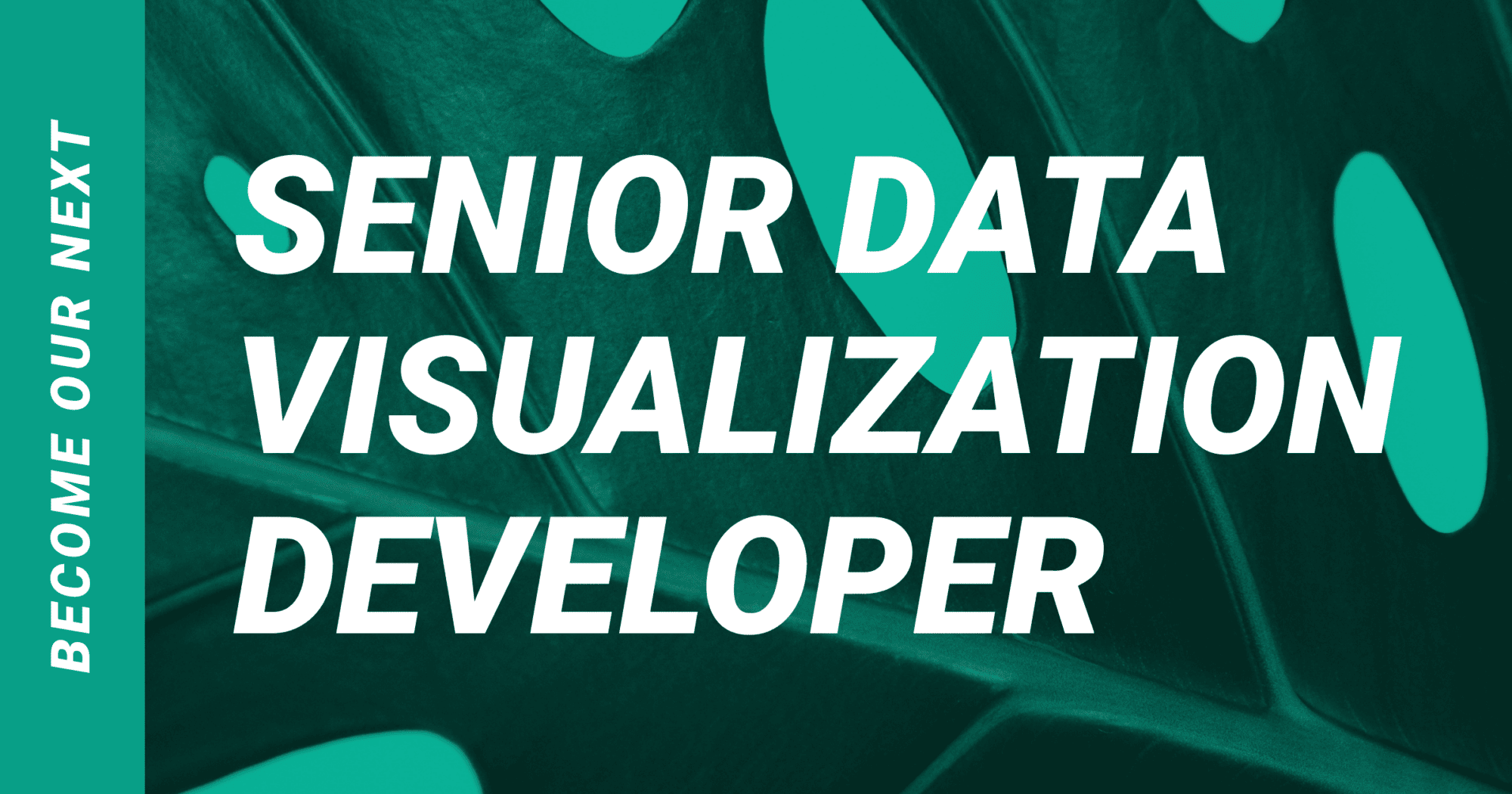 Senior data visualization developer - Datawrapper